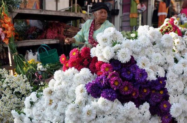 Pasar Bunga Bandungan Sumbang Pesonanya Sendiri Untuk Semarang