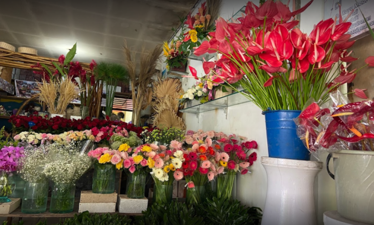Kenali Jenis Bunga di Toko Bunga Bekasi untuk Ragam Perayaan
