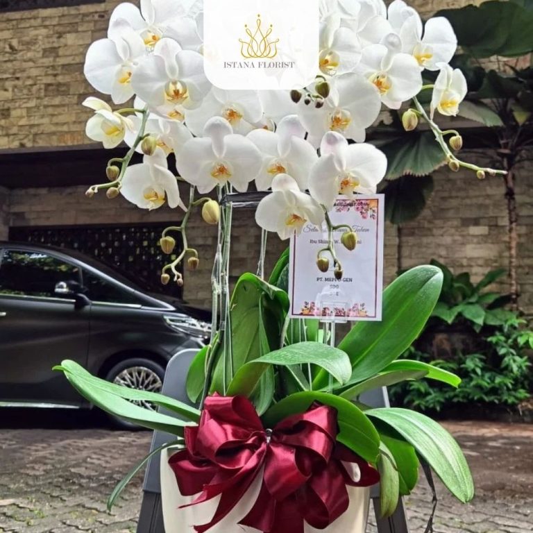 8 Bunga yang Akan Membawa Keberuntungan di Dalam Rumah